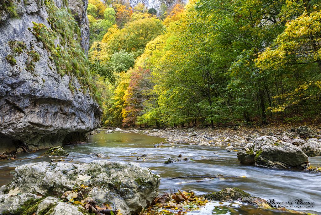 The Limestone Gorge of the Vârghiș Creek - Wonders of Transylvania