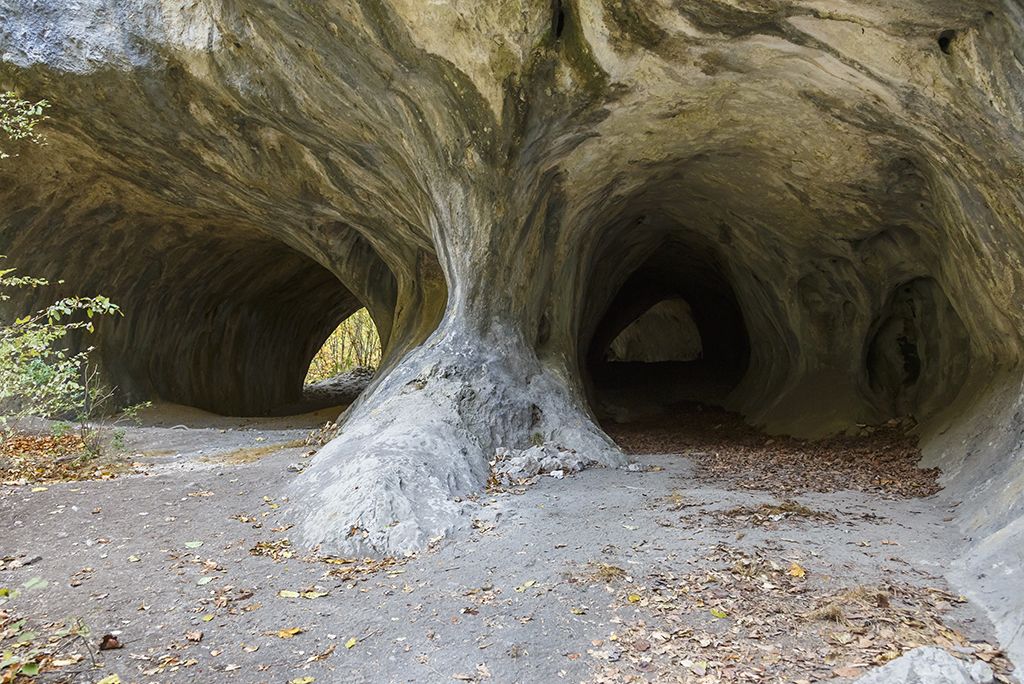 The Limestone Gorge of the Vârghiș Creek - Wonders of Transylvania
