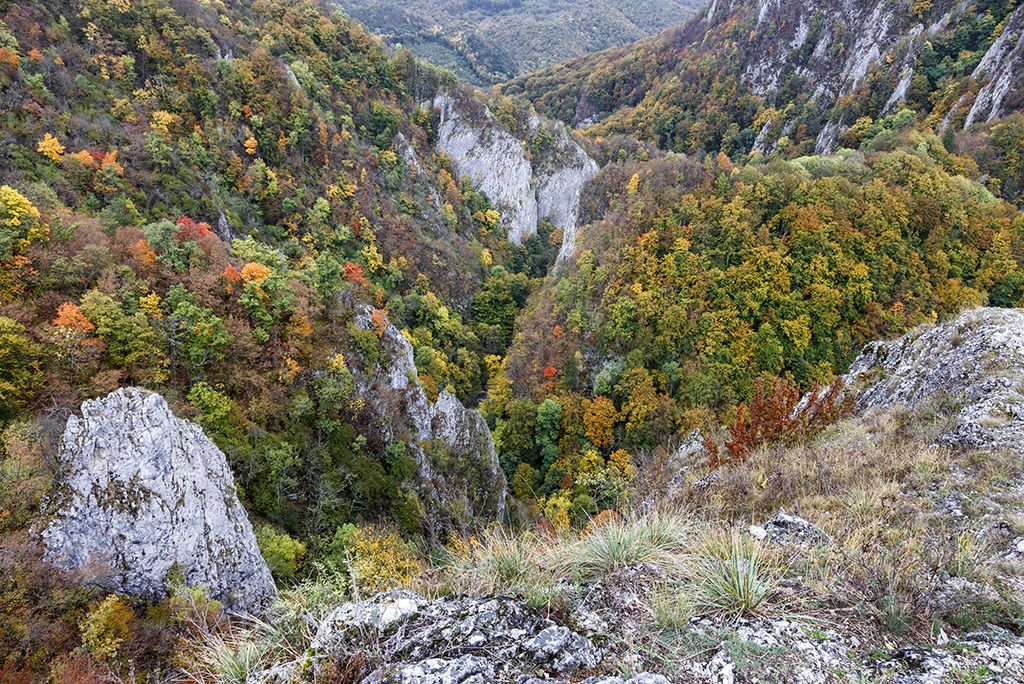 The Limestone Gorge of the Vârghiș Creek - Wonders of Transylvania