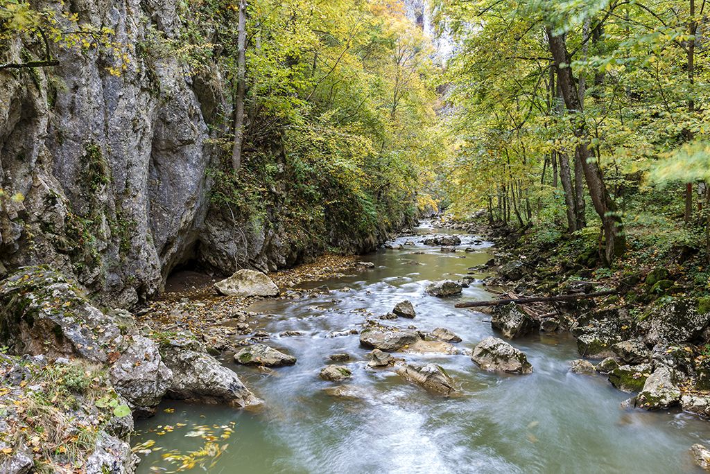 The Limestone Gorge of the Vârghiș Creek - Wonders of Transylvania