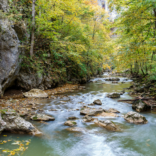 The Limestone Gorge of the Vârghiș Creek - Wonders of Transylvania